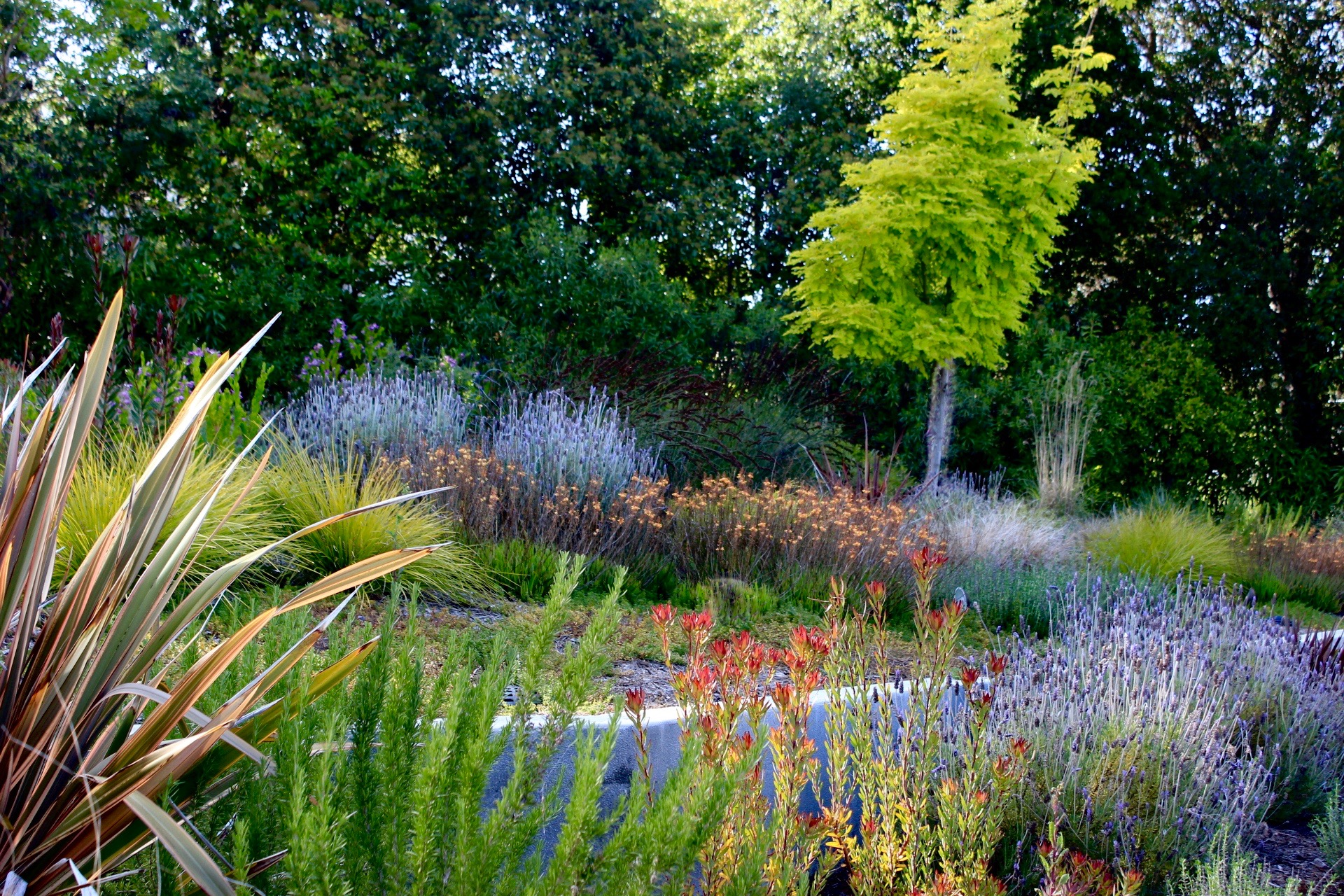 Plant Design - Jeffwortham