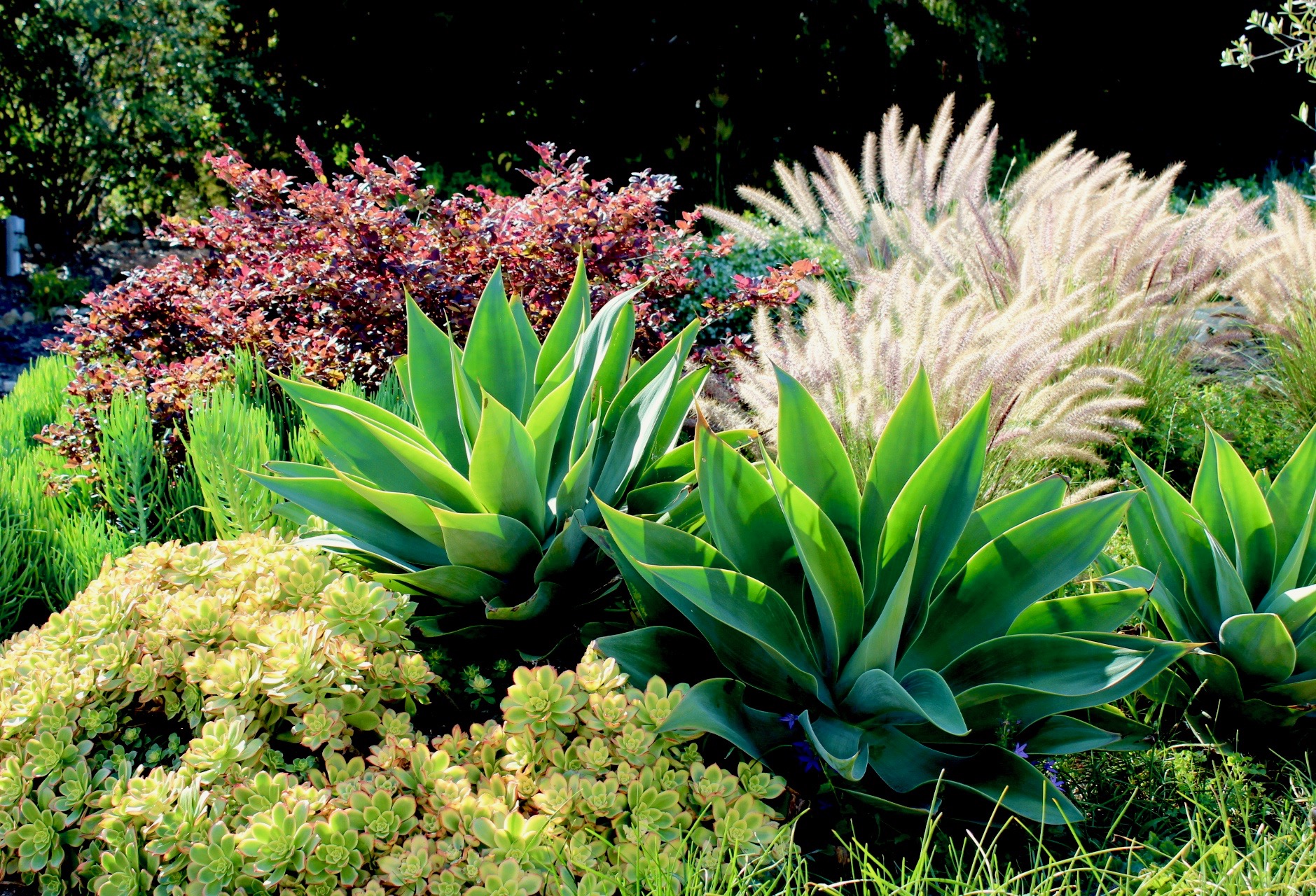 Plant Design - Jeffwortham